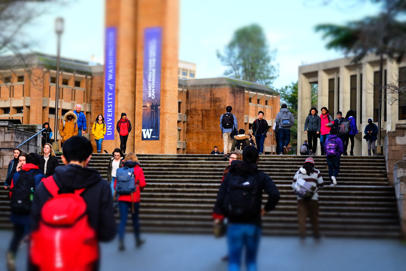 Foster School of Business Faculty Influencers